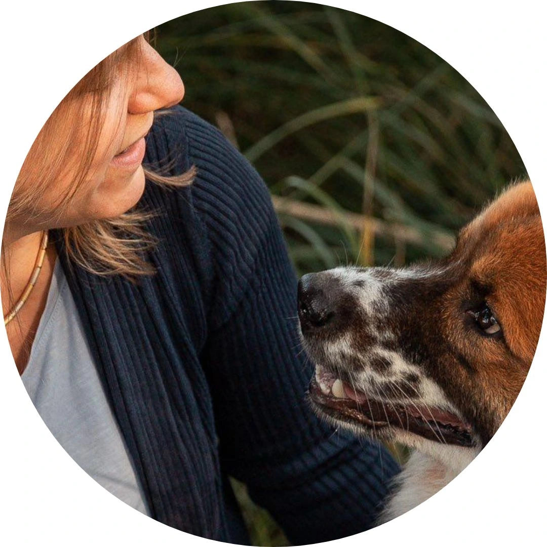 Erinnerungsbücher für dich und deinen Vierbeiner – Dog Challenge Book ...